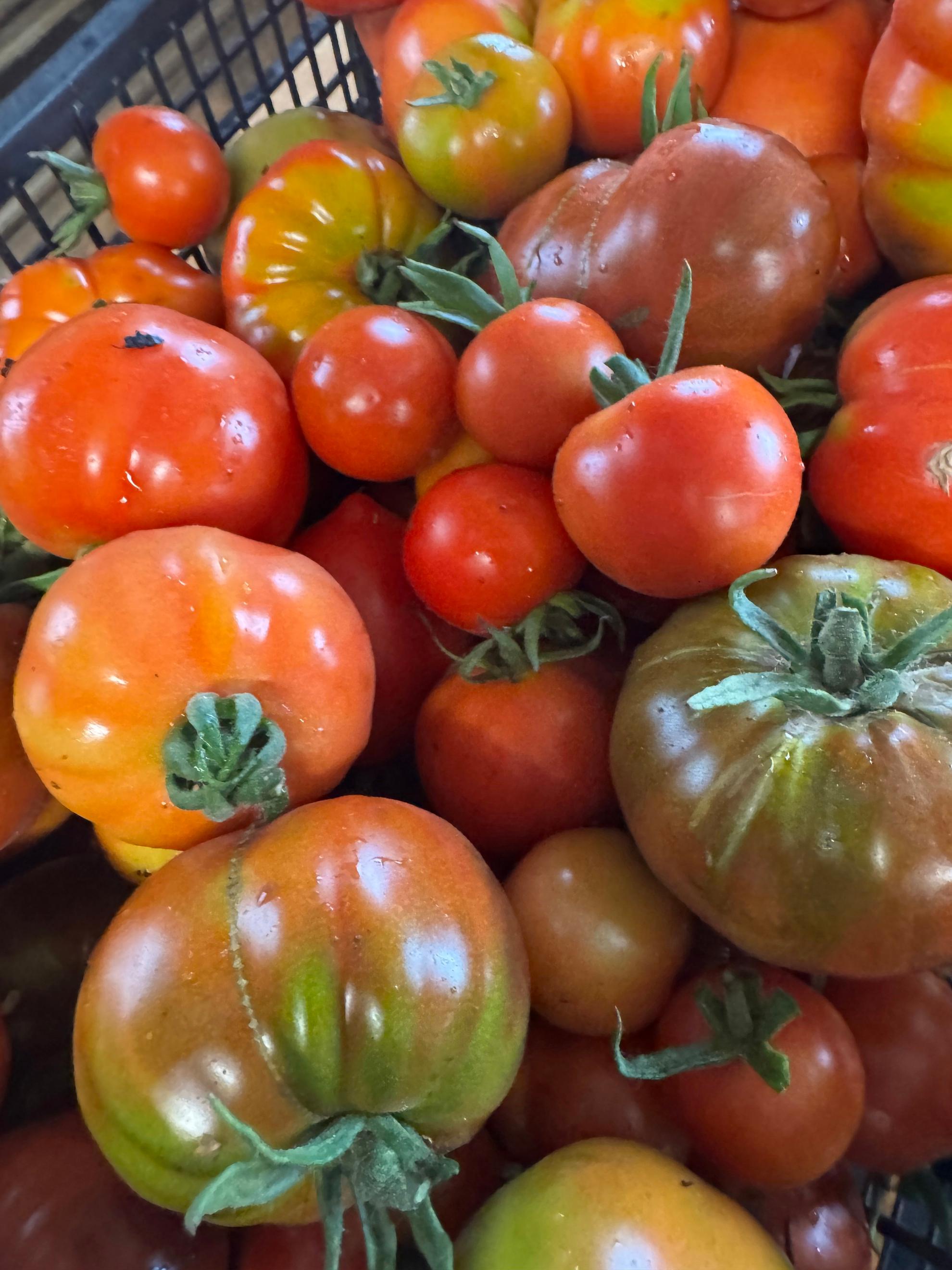 Shop local food | Newquay Orchard